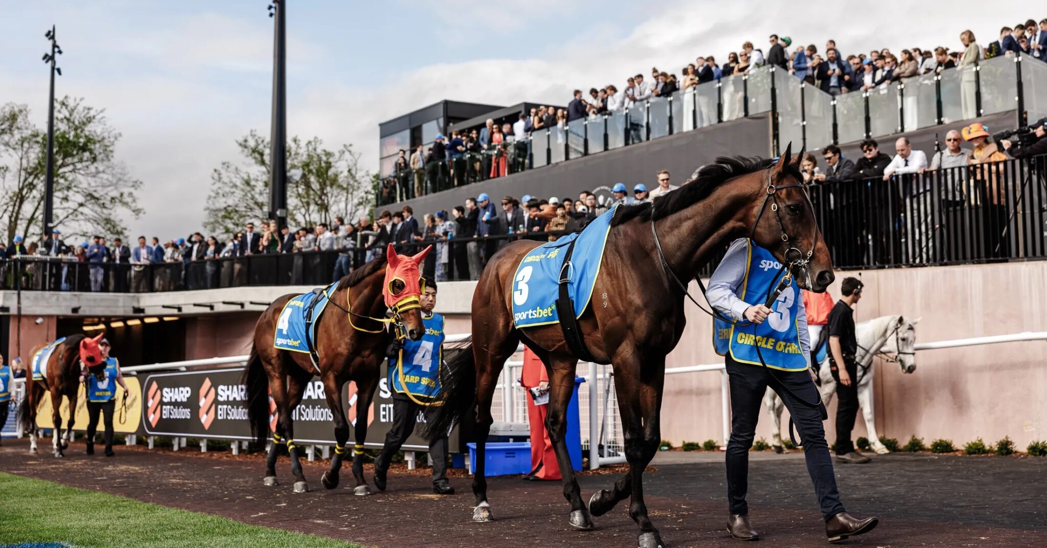 Melbourne Spring Racing Carnival 2025 | 7 Biggest Race Days