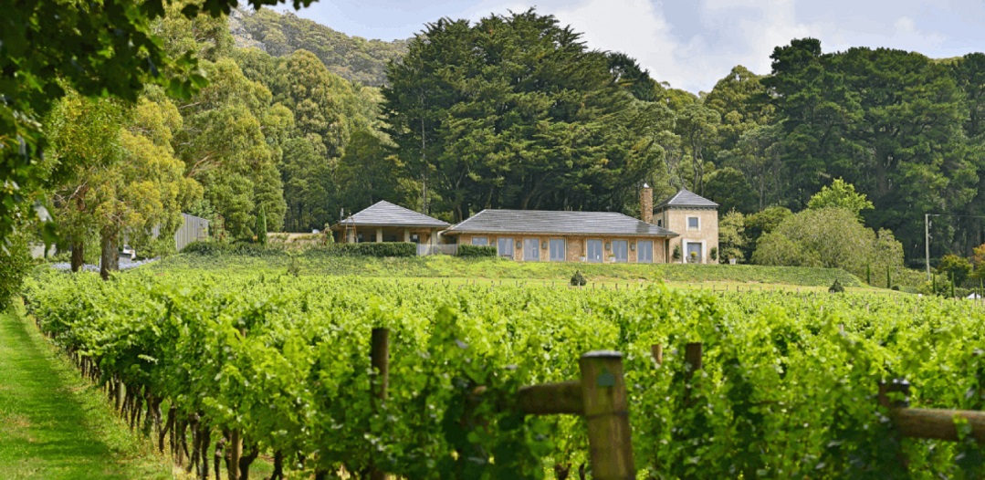 Top 5 best Melbourne Wineries | ATVM